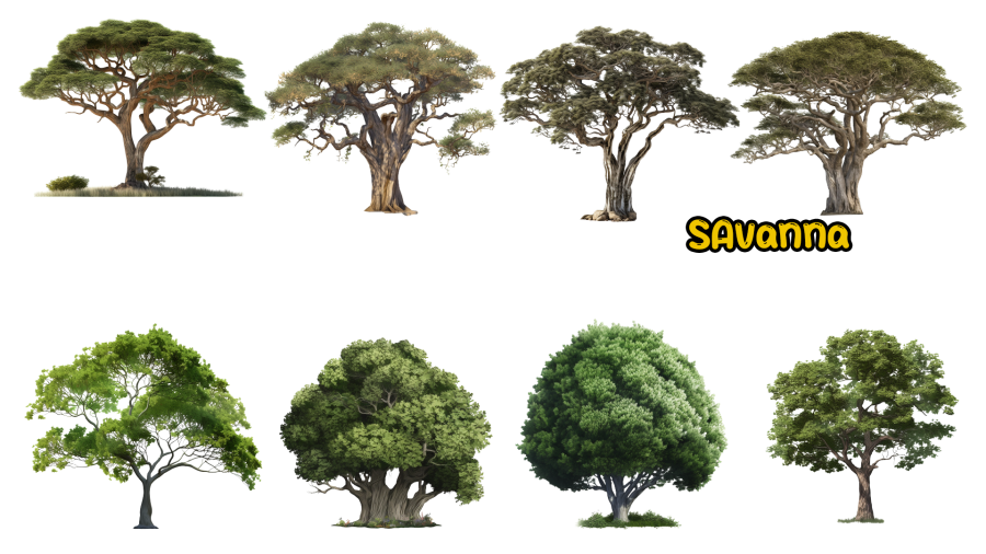2D realistic Trees - Game Sprites