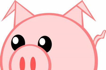 Tomato Pig - Free Addicting Game