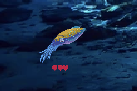 Squid Adventure - Free Addicting Game