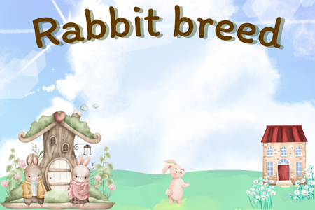 Rabbit breed - Free Addicting Game
